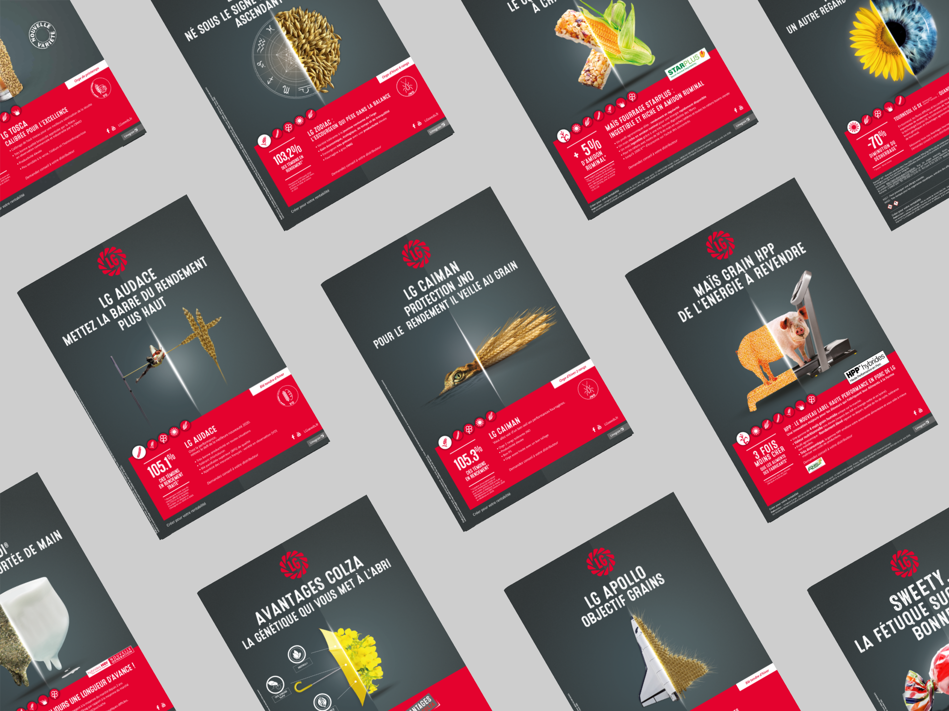 LG SEEDS : Saga publicitaire #2